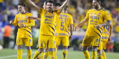 Tigres: Información y Noticias | Marketing Registrado